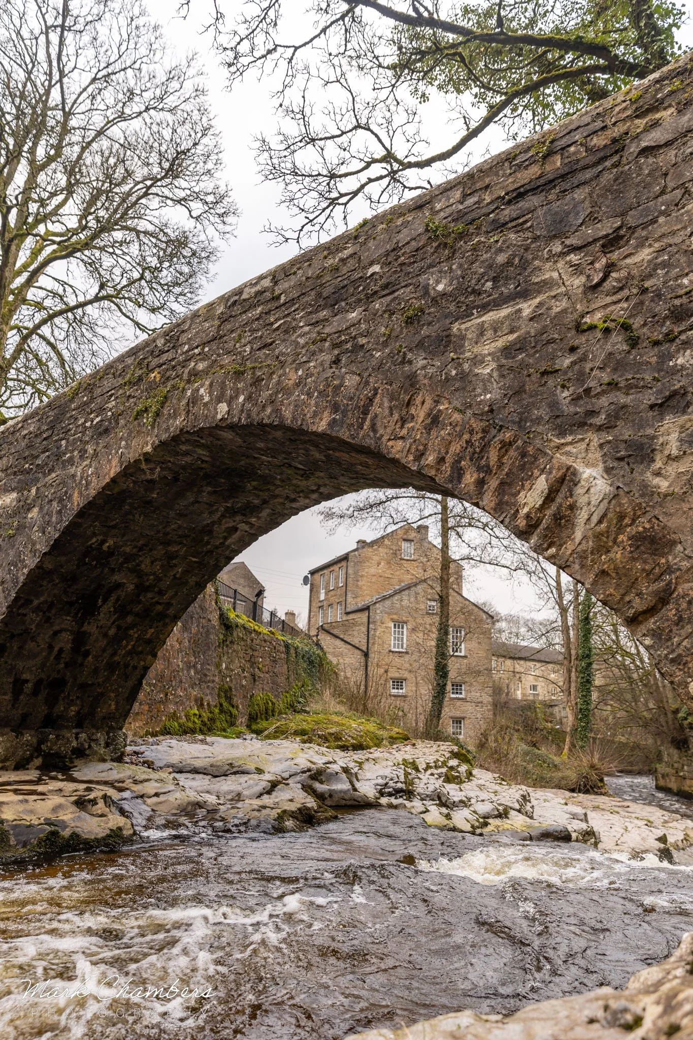 Spring in Yorkshire — Mark Chambers Photography