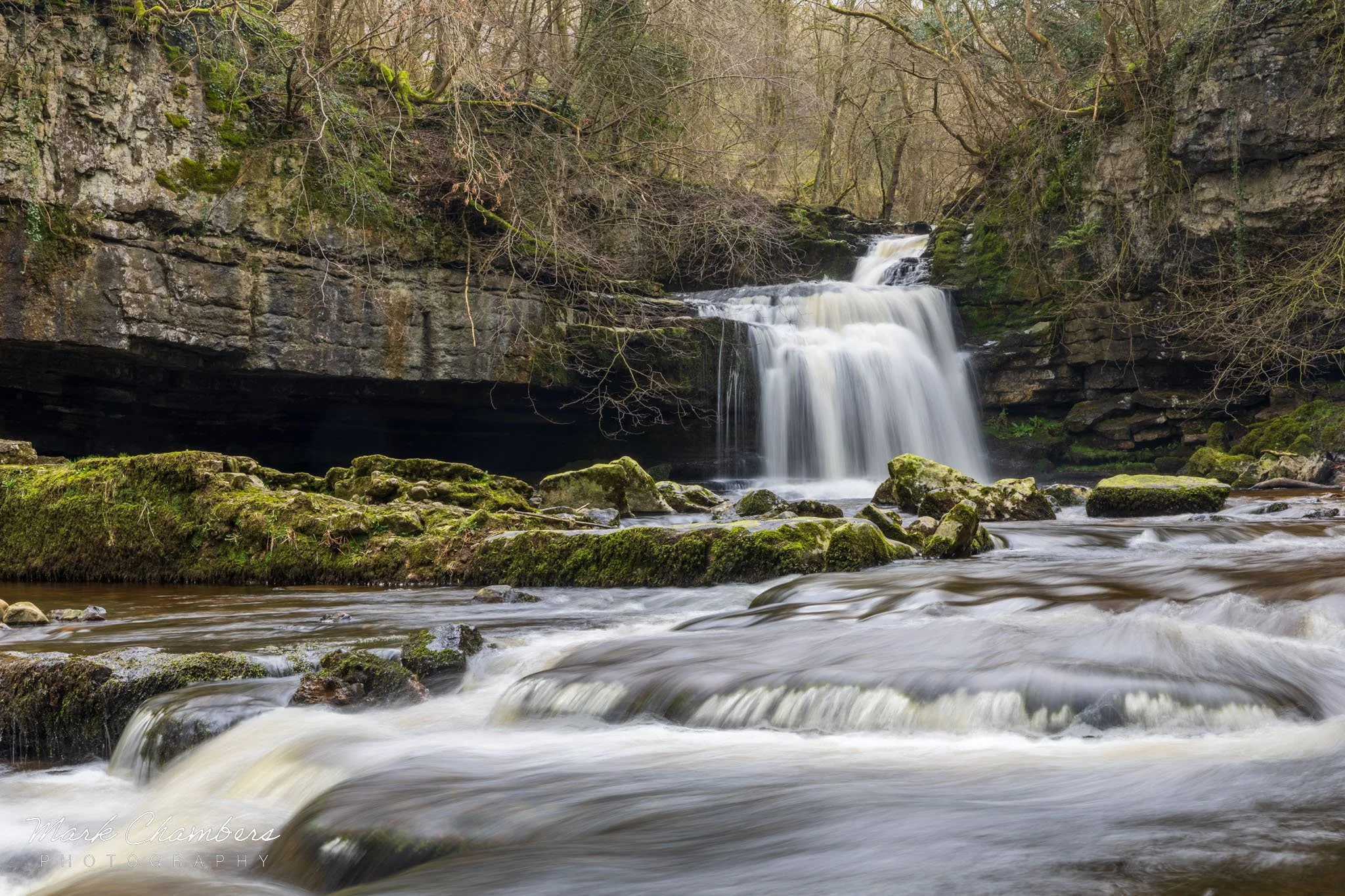 Spring in Yorkshire — Mark Chambers Photography