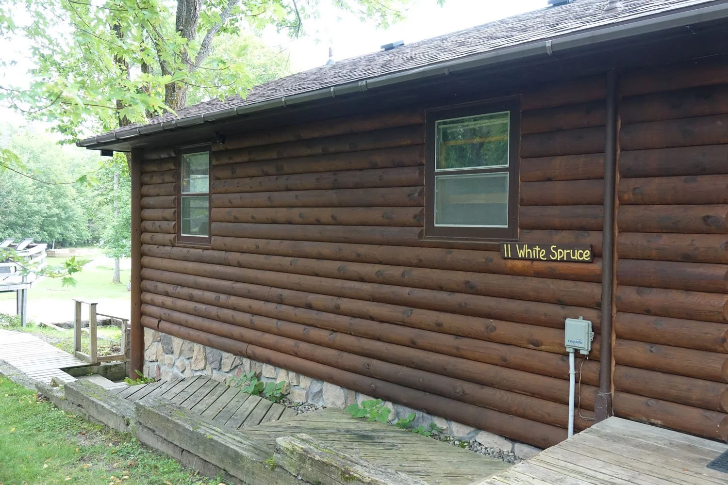 White Spruce — Island View Resort