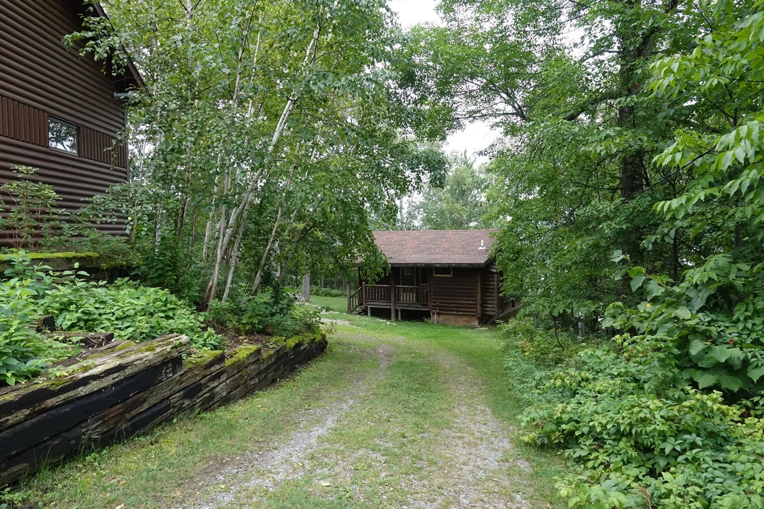 White Pine — Island View Resort