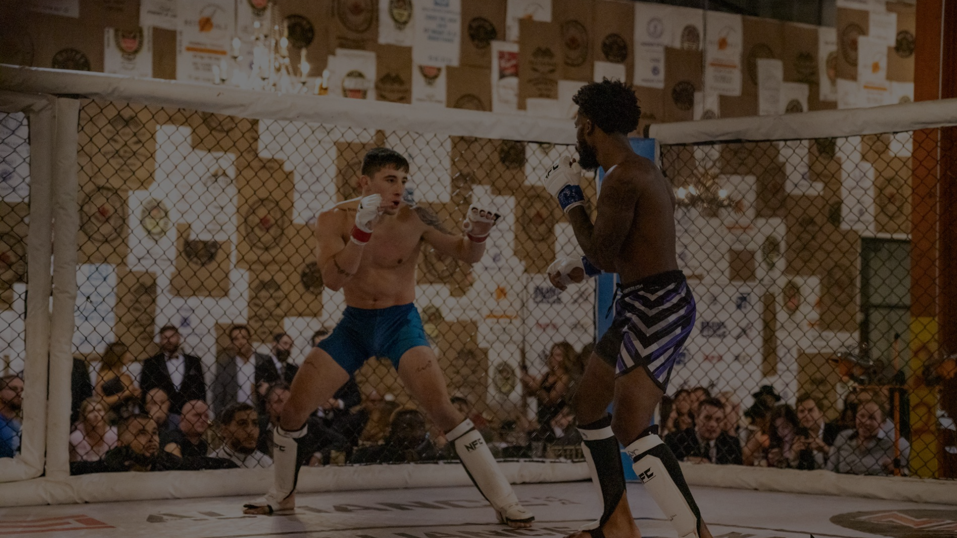 NFC Brew Jitsu IV | Atlanta's Premier Jiu-Jitsu Tournament at Monday ...