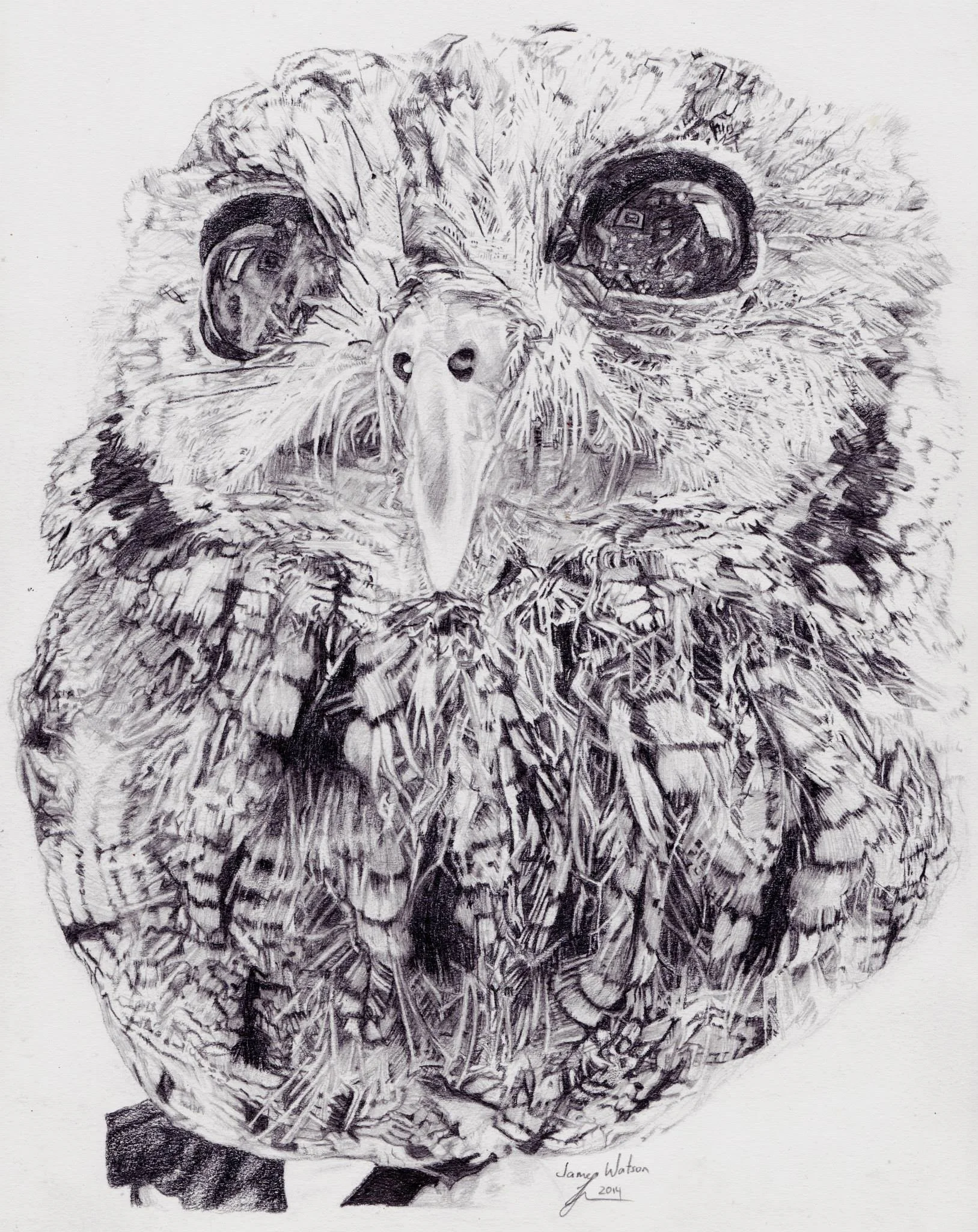 Gallery 1 — James S Watson