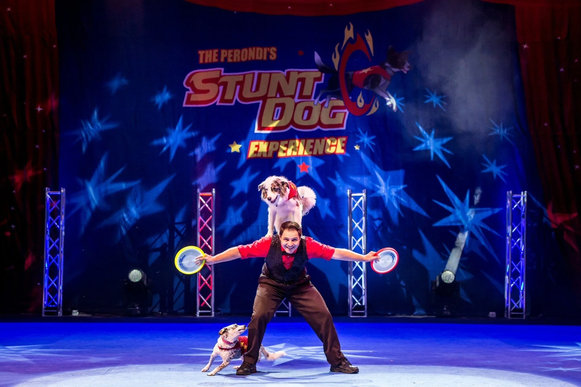 Six Flags Over Texas Brings High-Flying Dog Stunts to Southern Palace ...