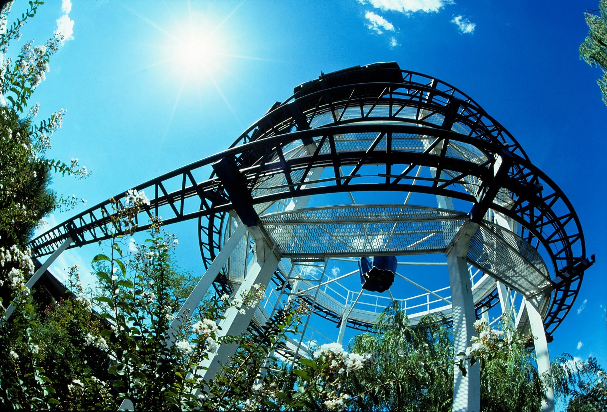 SFOT Source - Your Premier Guide to Six Flags Over Texas