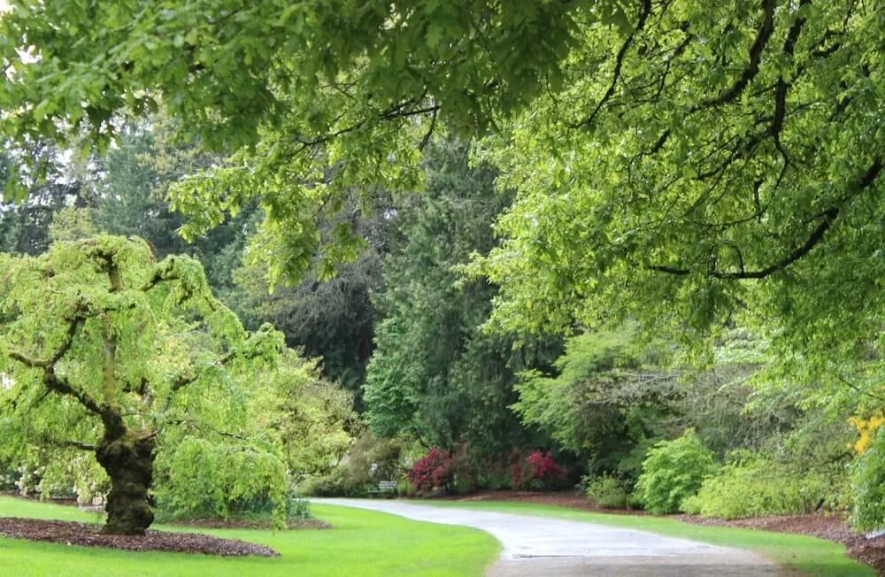 Washington Park Arboretum — Northwest Blooms