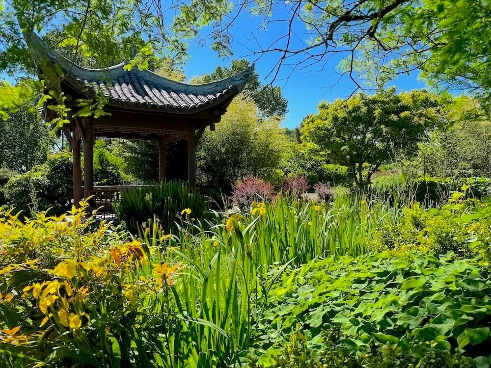 Woodland Park Zoo Rose Garden — Northwest Blooms