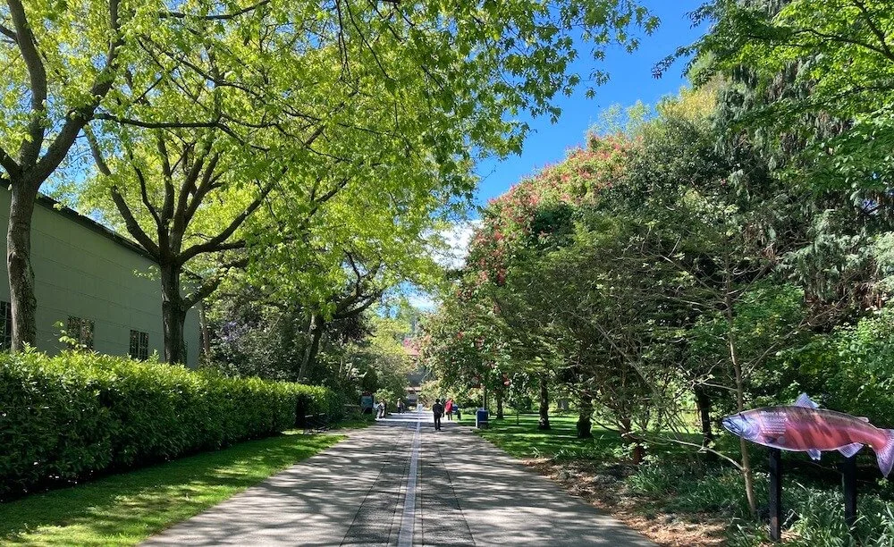 Public Gardens in the Seattle Area — Northwest Blooms