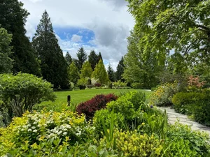 Bellevue Botanical Garden — Northwest Blooms