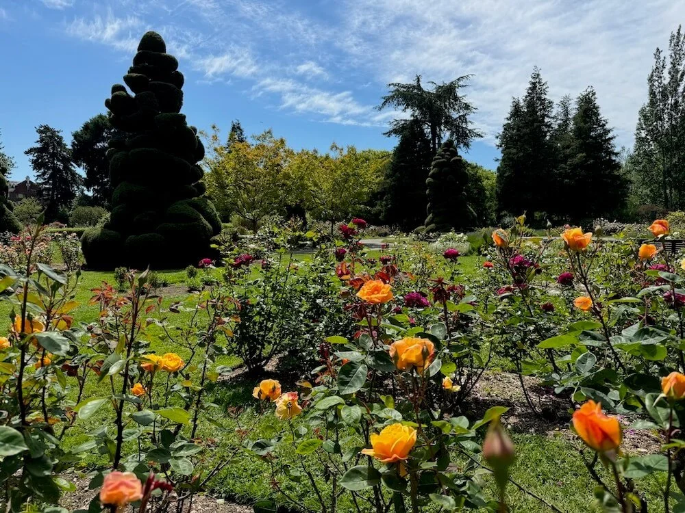 Woodland Park Zoo Rose Garden — Northwest Blooms