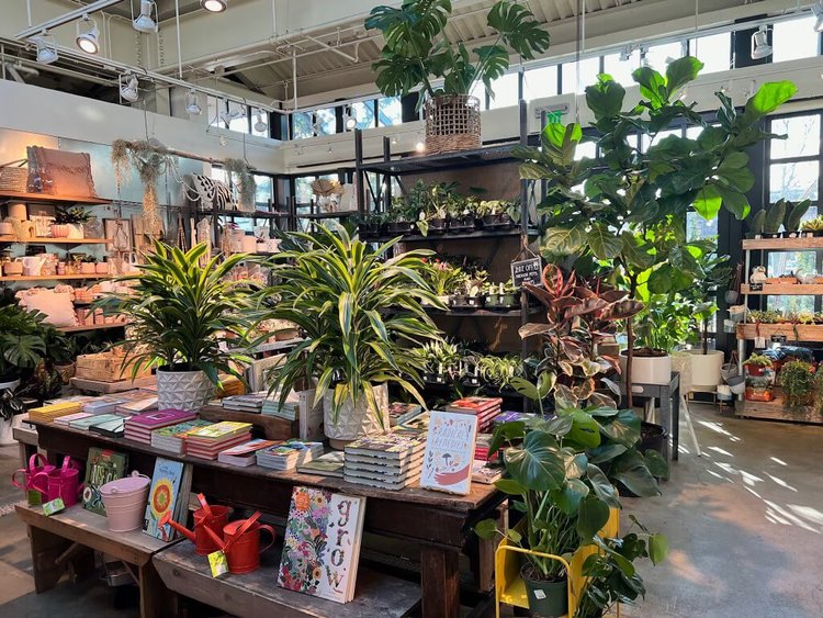 Ravenna Gardens (Seattle) — Northwest Blooms