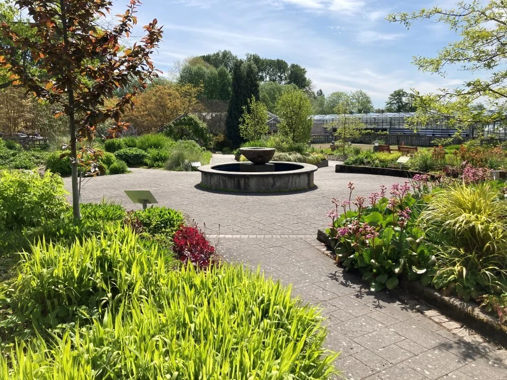 Public Gardens in the Seattle Area — Northwest Blooms