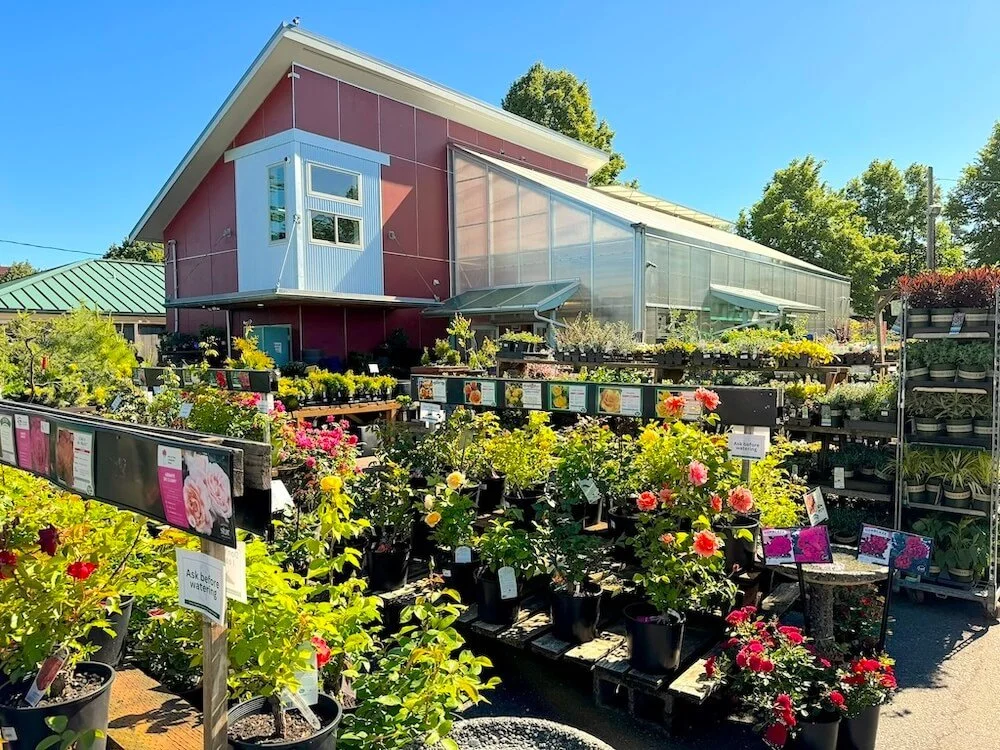 Plant Nurseries in the Seattle Area — Northwest Blooms