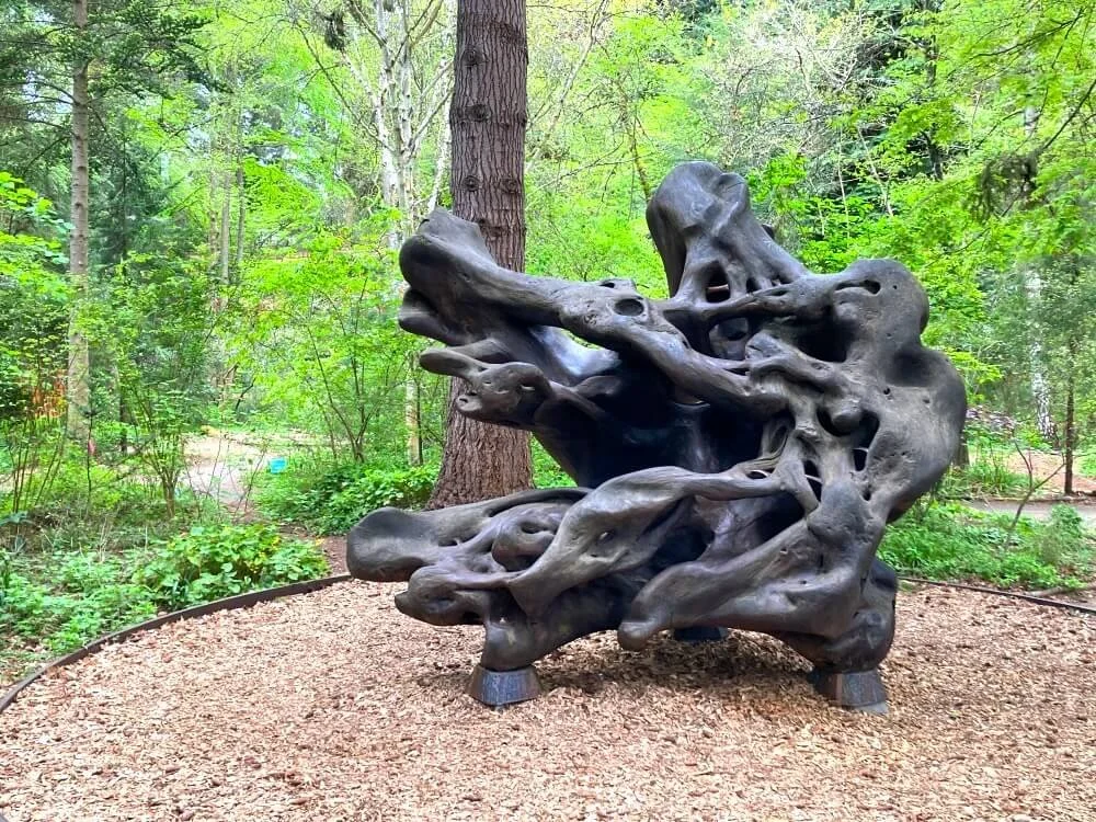 Public Gardens in the Seattle Area — Northwest Blooms