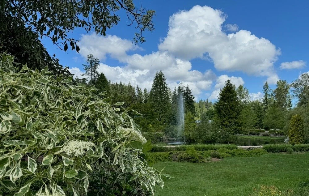 Flower World (Woodinville) — Northwest Blooms