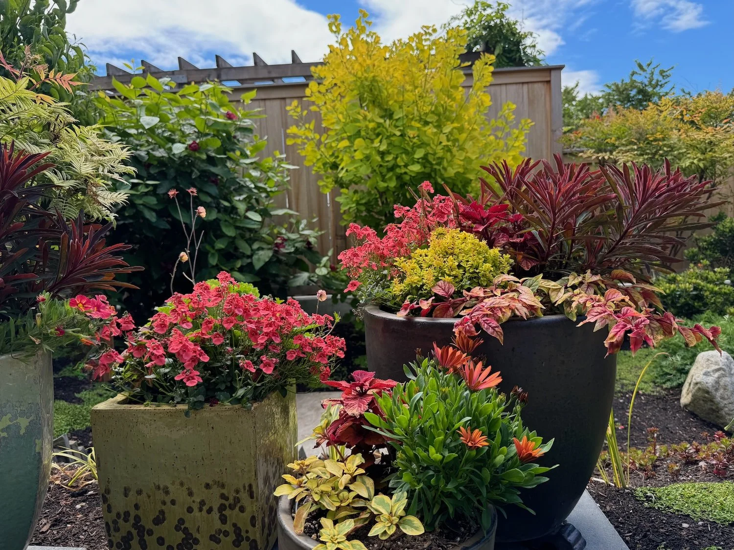 Plant Nurseries in the Seattle Area — Northwest Blooms