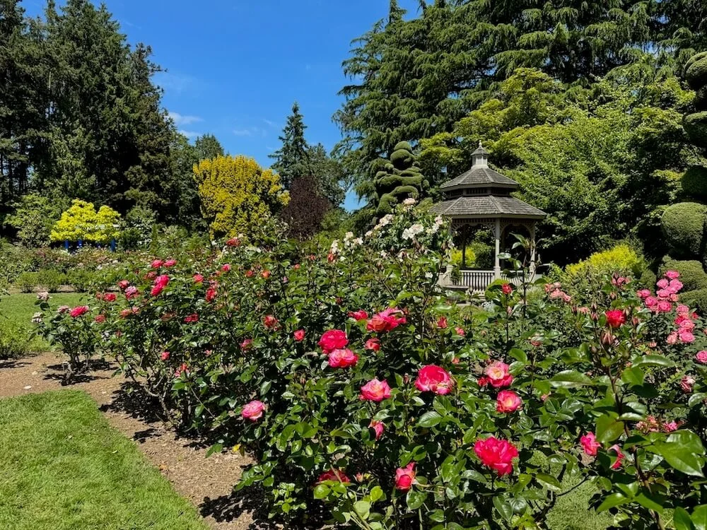 Woodland Park Zoo Rose Garden — Northwest Blooms
