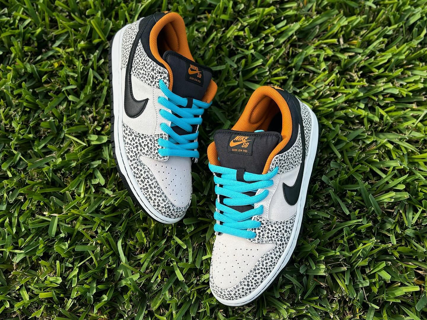 Benjamin Surf N' Skate