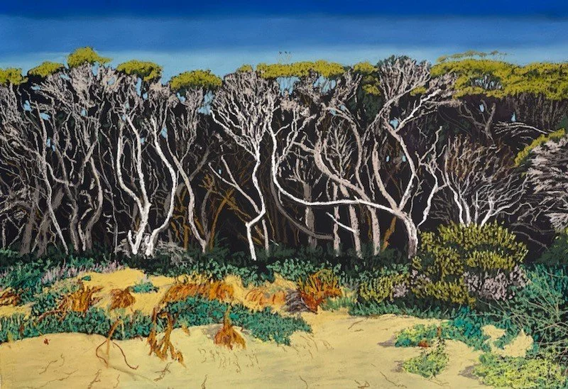 Brian Aylward, Lynne Scott & Sharon Boxall — Terrace Greenhouse