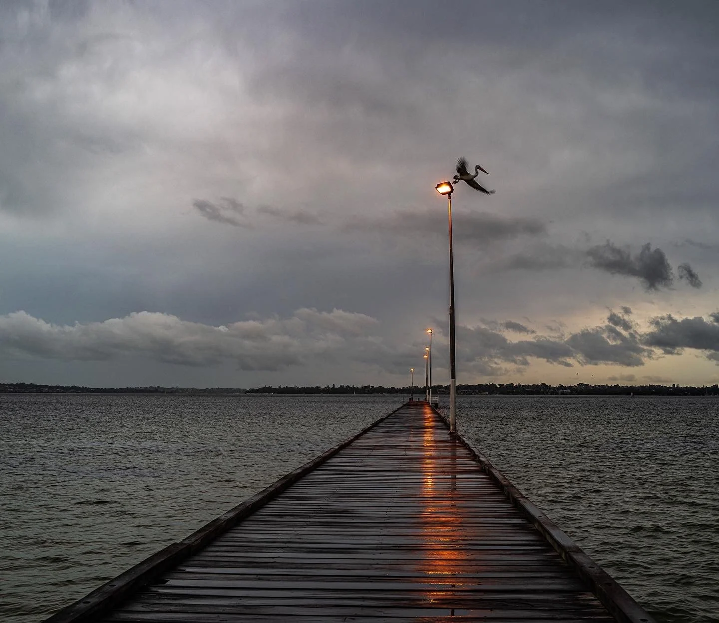 Blog 1 — Terrace Greenhouse