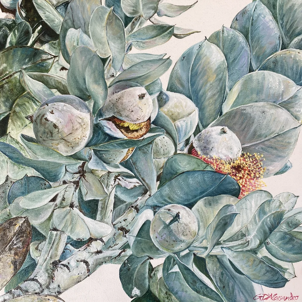 Art Gallery ǀ Western Australian Artists ǀ Art Gallery Perth. — Terrace ...