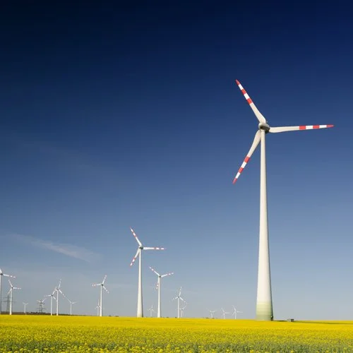 FELFEL Sustainability: Green solutions for the workplace