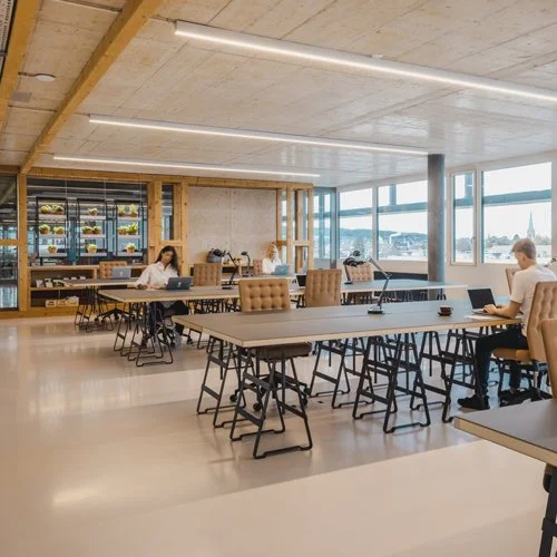 FELFEL Sustainability: Green solutions for the workplace