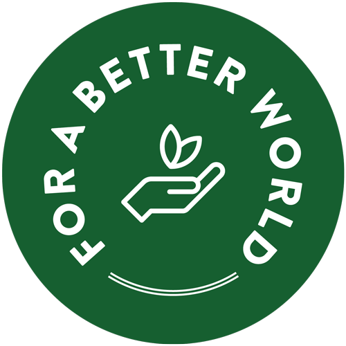 FELFEL Sustainability: Green solutions for the workplace