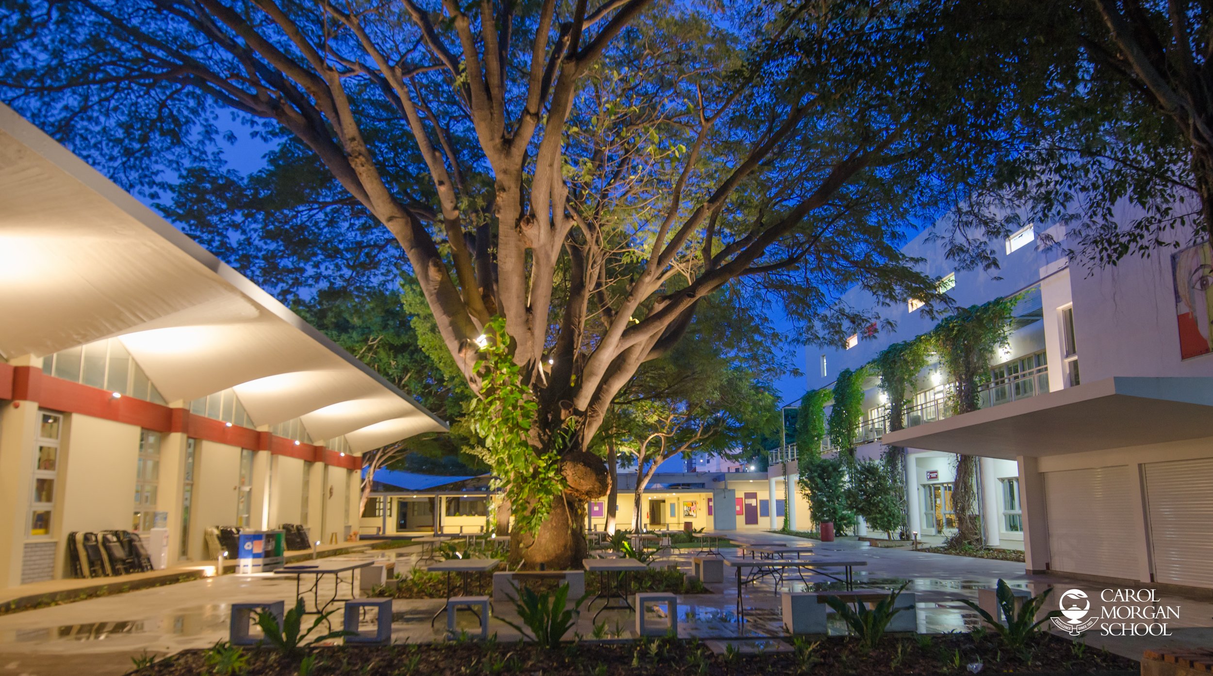 Open Positions general page — Carol Morgan School