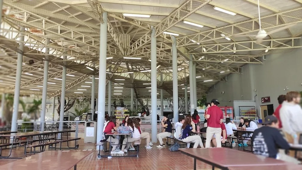 Cafeteria — Carol Morgan School