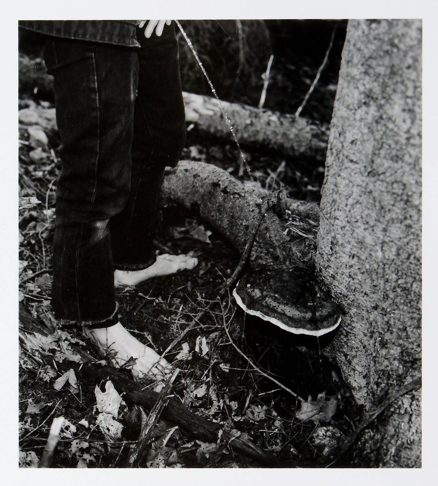 Dylan Hausthor & Paul Guilmoth – Sleep Creek — Void