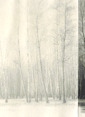 Void | Photography Books