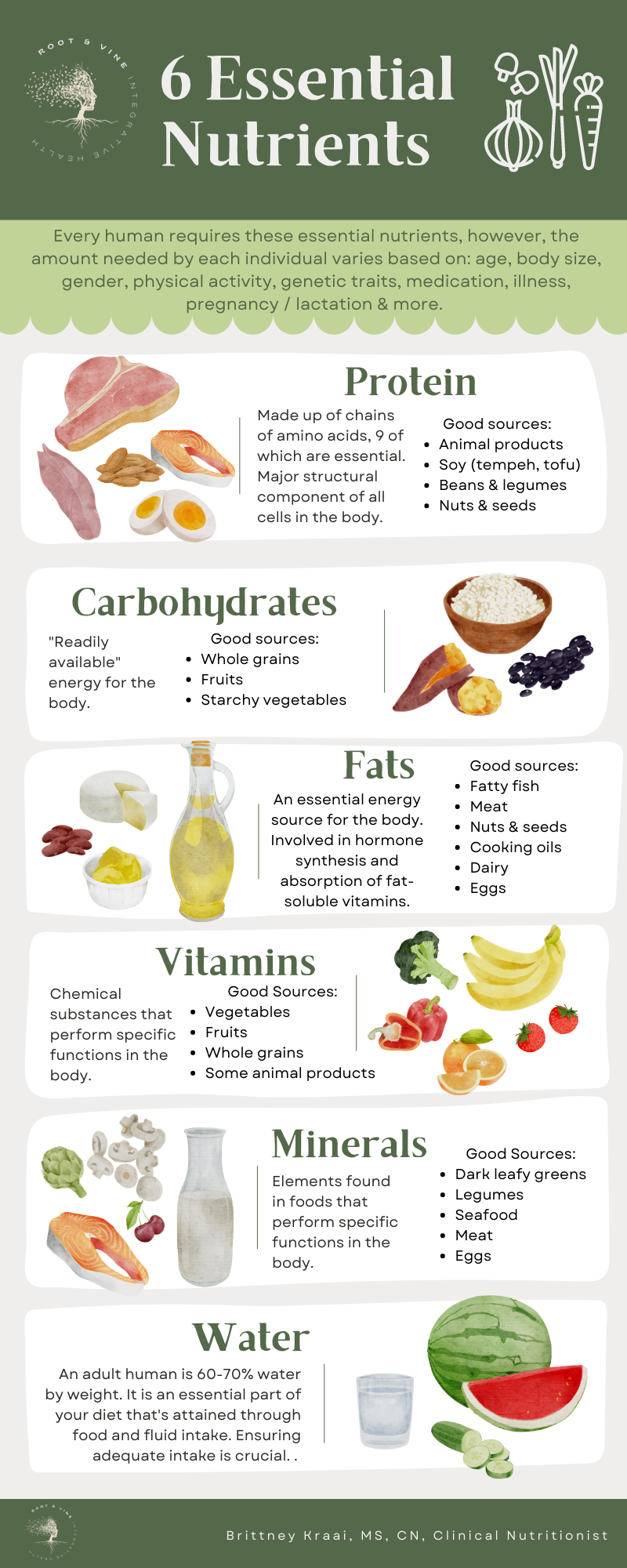 6 Essential Nutrients — Root & Vine Integrative Nutrition