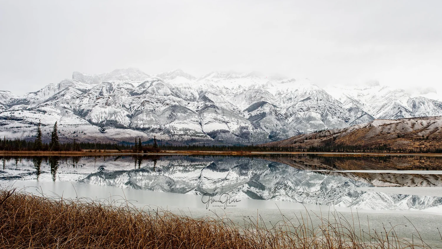 Gloria L Glass Photography