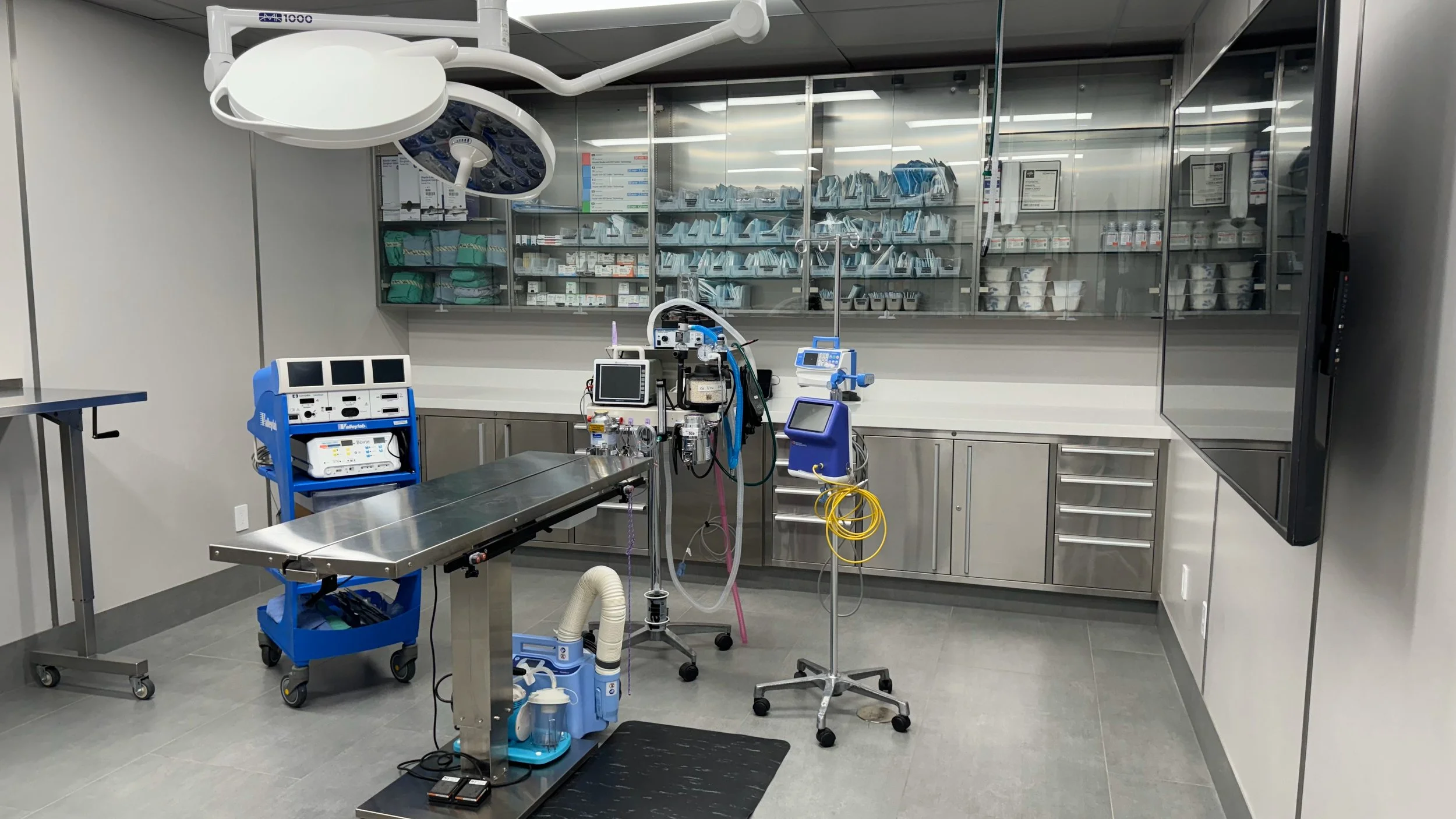 California Animal Rehabilitation & Emergency Surgery
