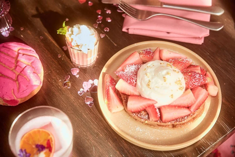 Vibrant Mexican Dining at La Mona Rosa. Indulge Now!