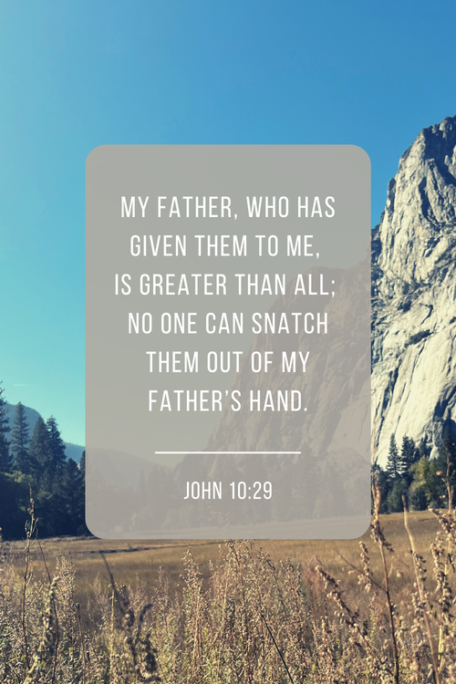 Held in His Hand Devotion on John 10:27-29 Bible verse — Lidia Adina ...