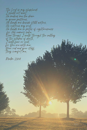 We have a Shepherd devotional based on Psalm 80:1 Bible Verse — Lidia ...