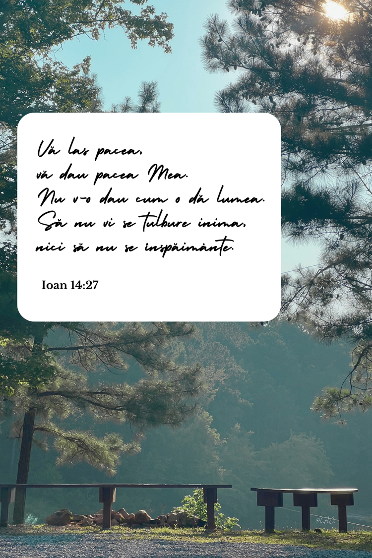 A Story of Hope blog post based on Isaiah 9:6 Bible Verse — Lidia Adina ...