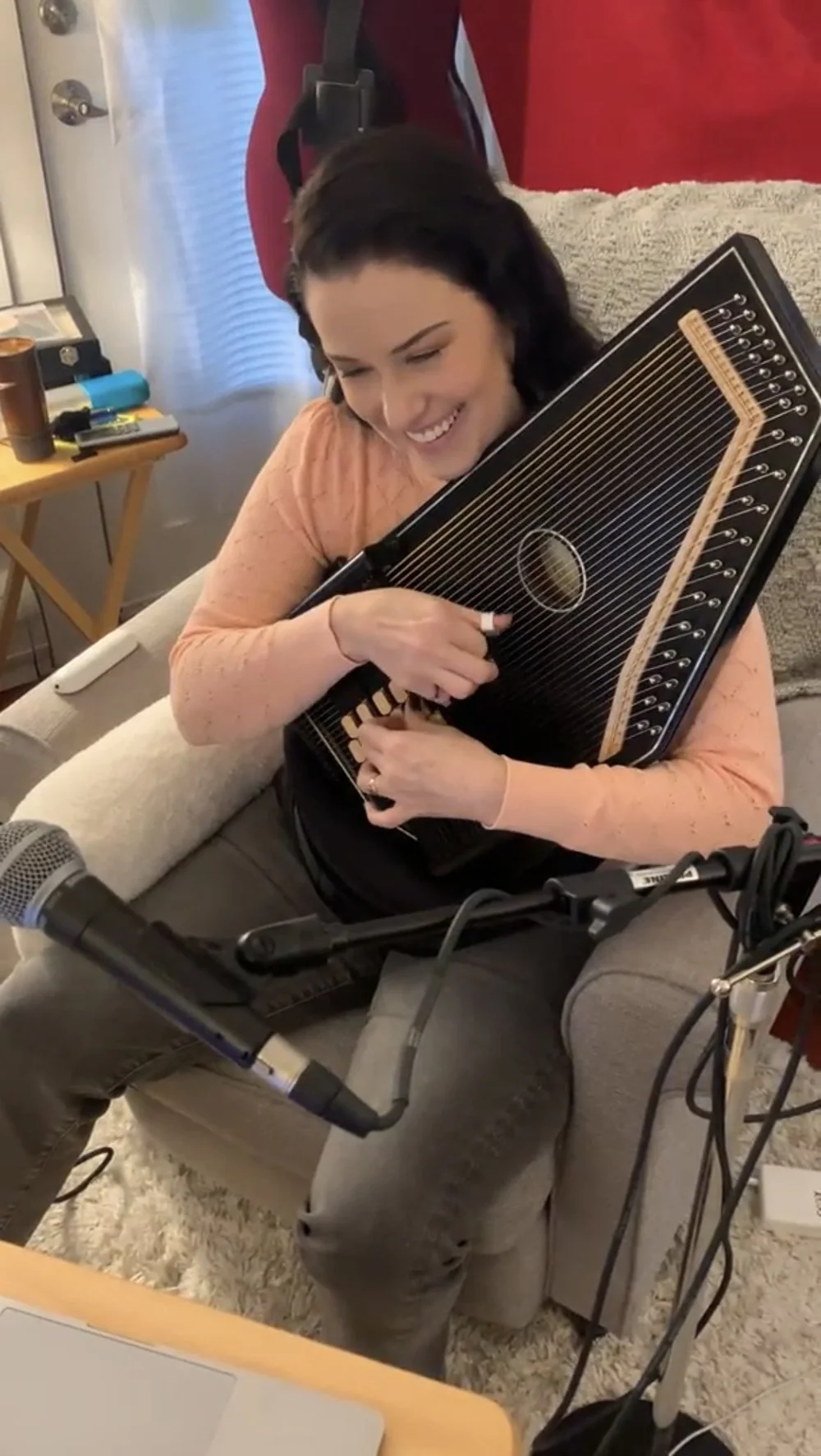 What is the difference between a Chromatic and Diatonic Autoharp ...
