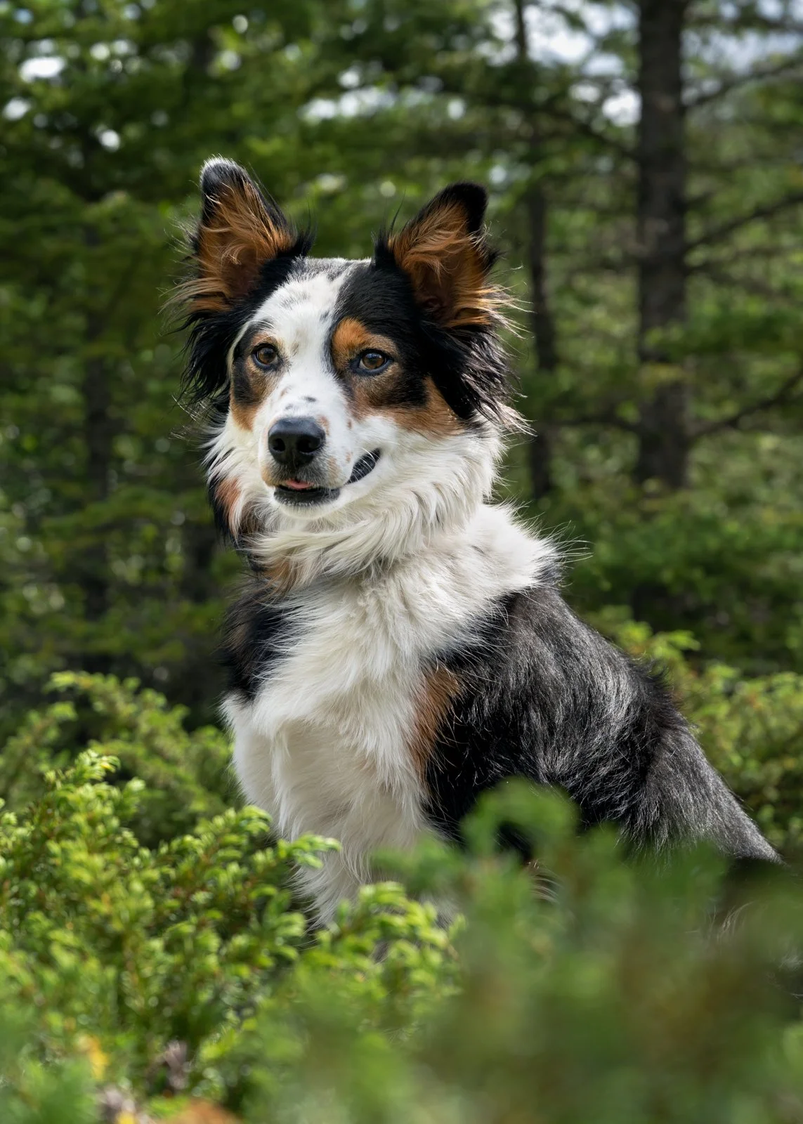 Photo Session Design Guide