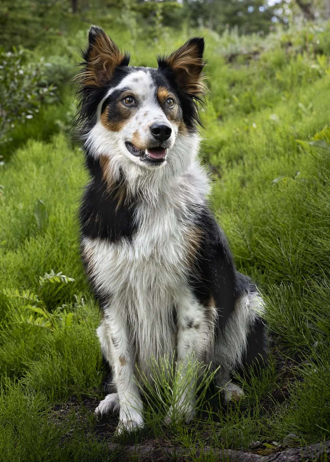 Photo Session Design Guide