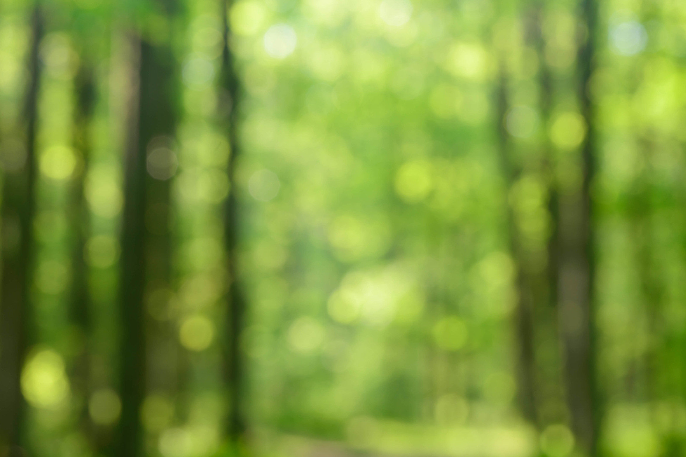 Leslie Sanderson | Cygnus Counselling