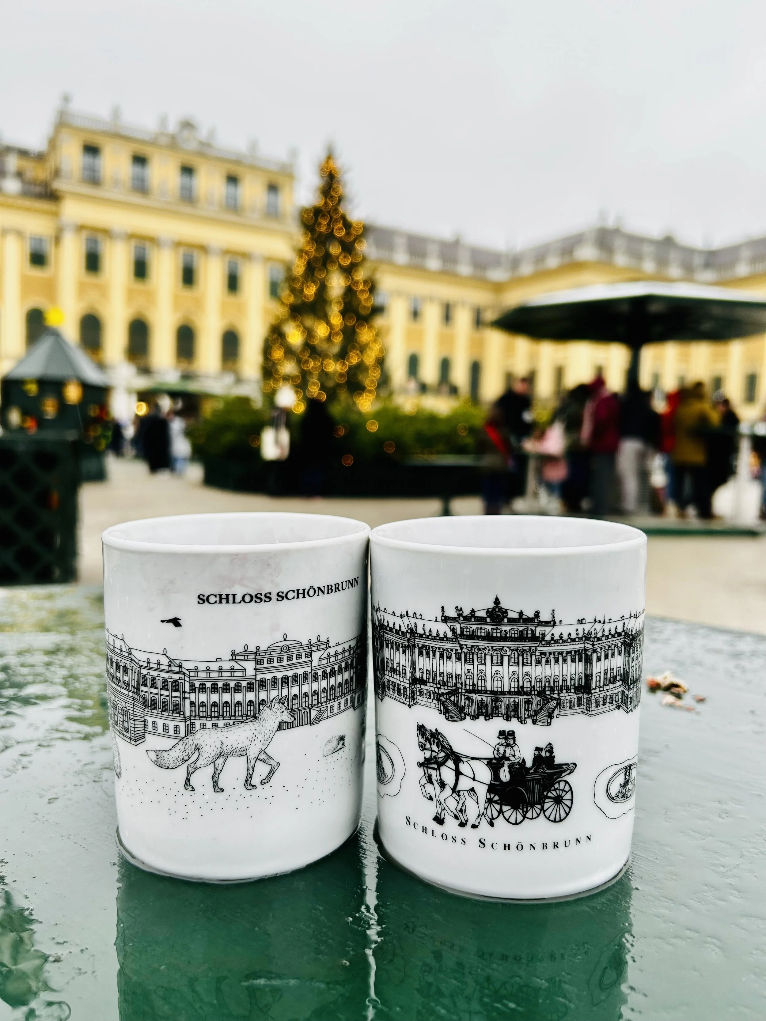 Celebrate the Magic of Vienna: A 3-Day Holiday with Sights and ...
