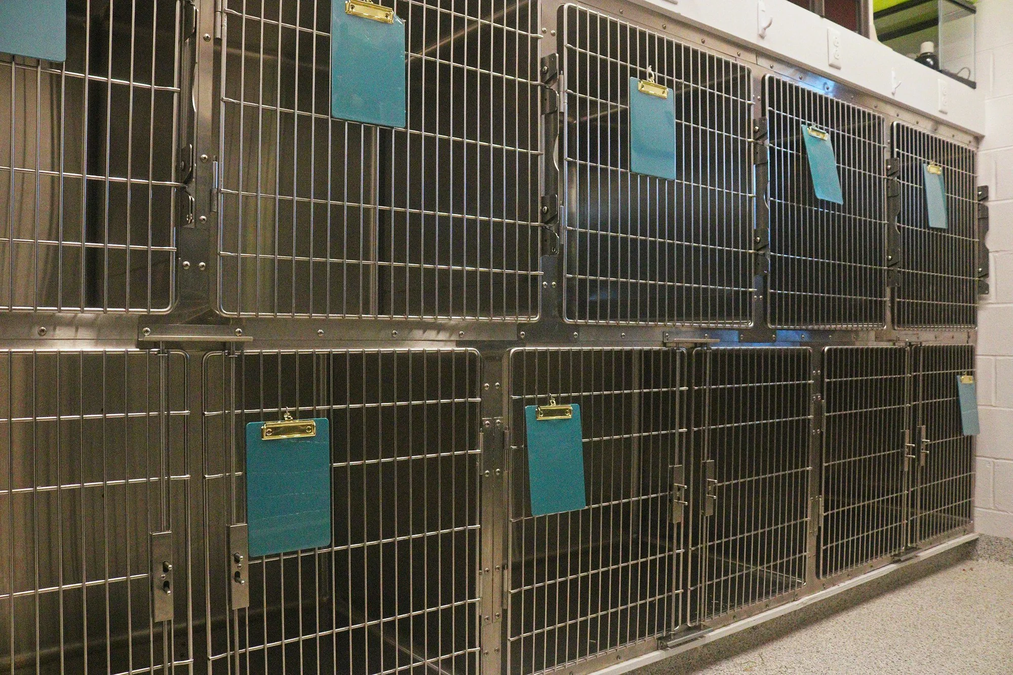 Boarding — Critter Care