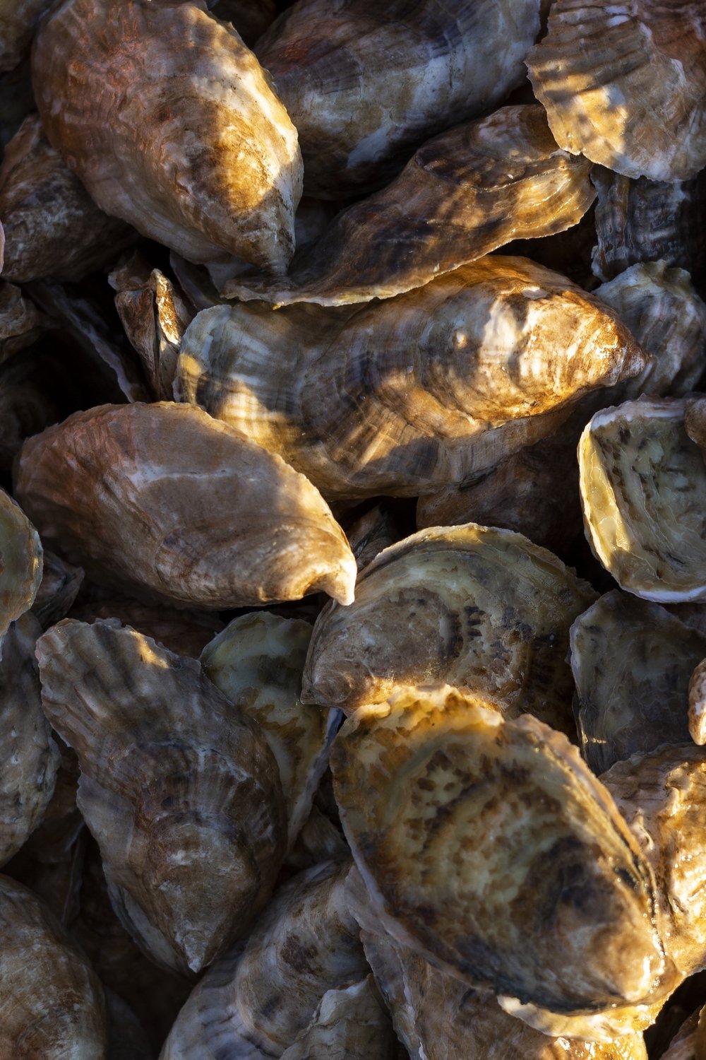 SHUCK STATION MENU — The Shuck Station