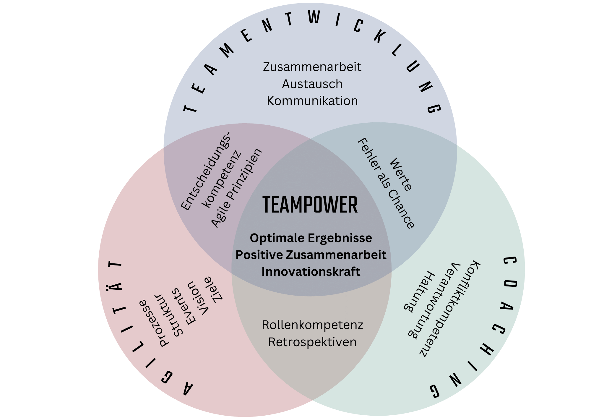 TeamPower - Teamworkshops für nachhaltigen Erfolg.