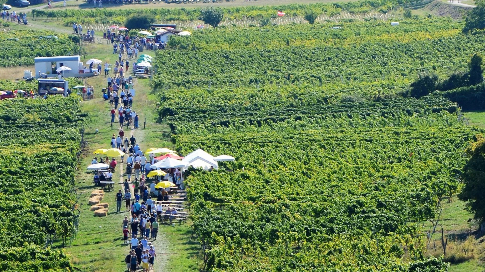 Erlebe, spüre und begreife die Region Wienerwald — HOTEL LANDHAUS ...