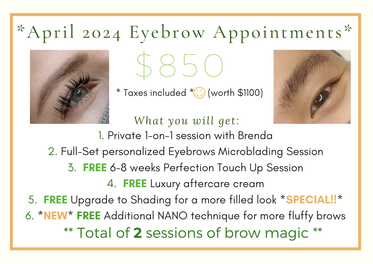BOOK NOW - Microblading Eyebrows Vancouver Price + Vancouver Eyeliner ...