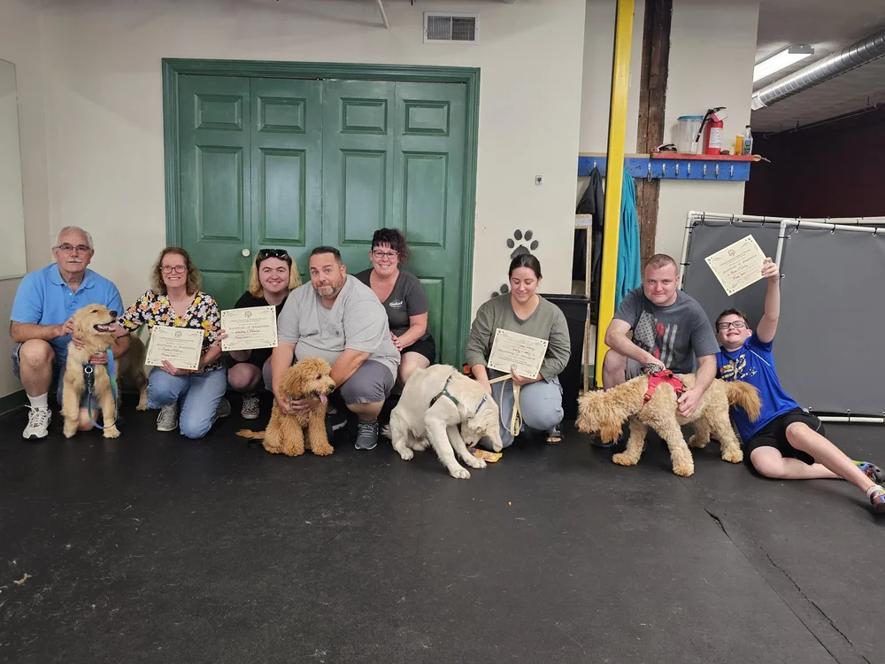 CCBA Dog Training About — Creature Connections Behavior Alliance