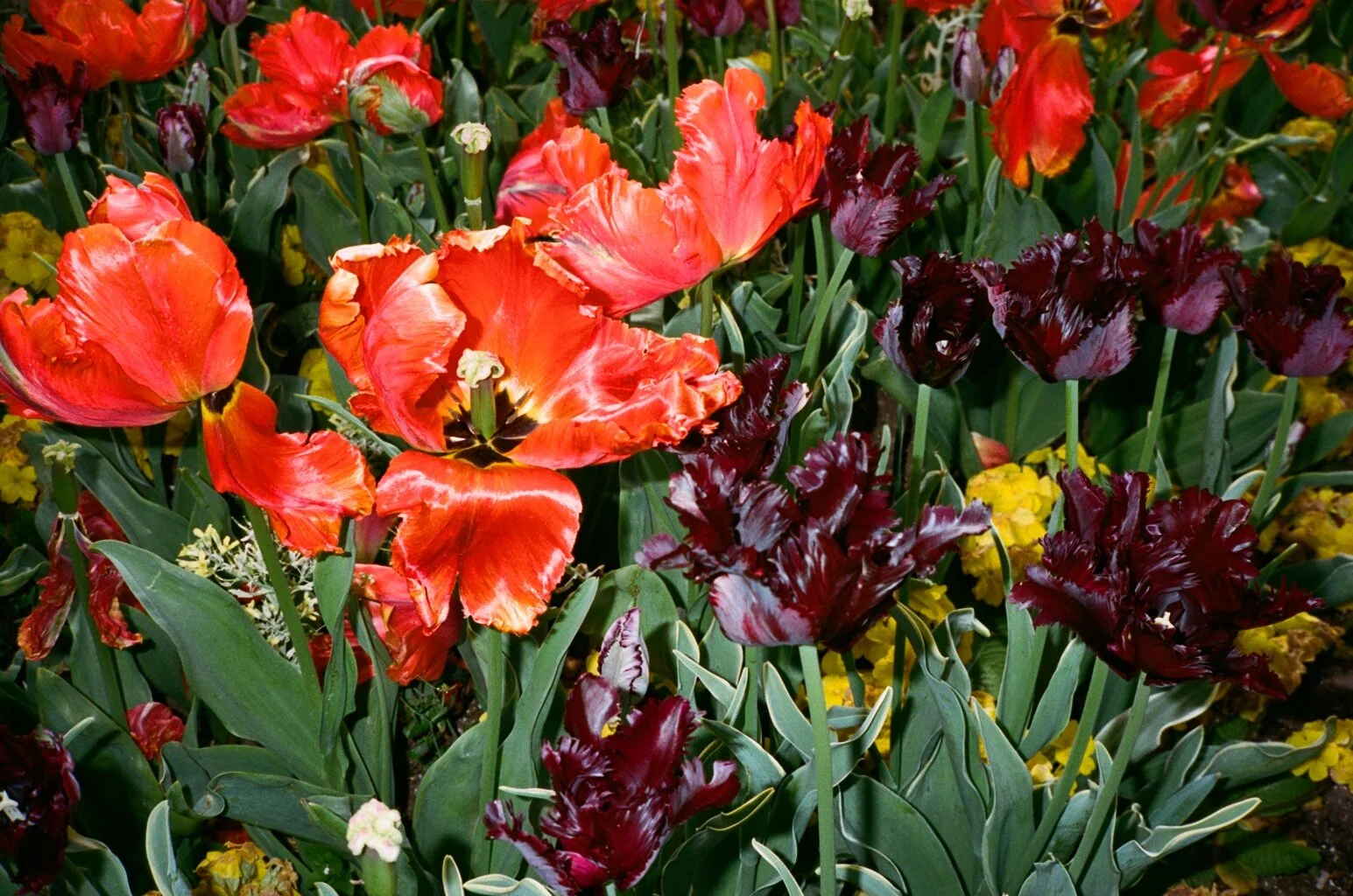 Contact — SHIGERU MASUI